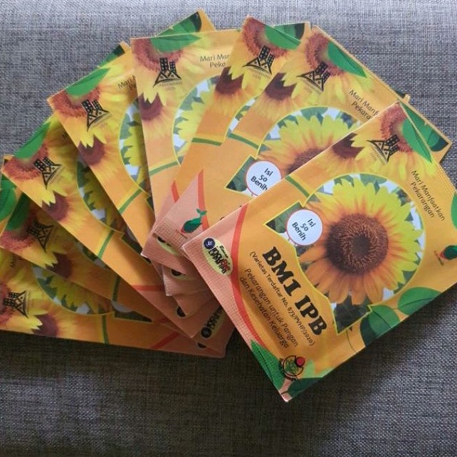 Jual Benih Bunga Matahari IPB BM1 / Biji Sunflower untuk Vegetasi Klanceng dan Hiasan Taman ...