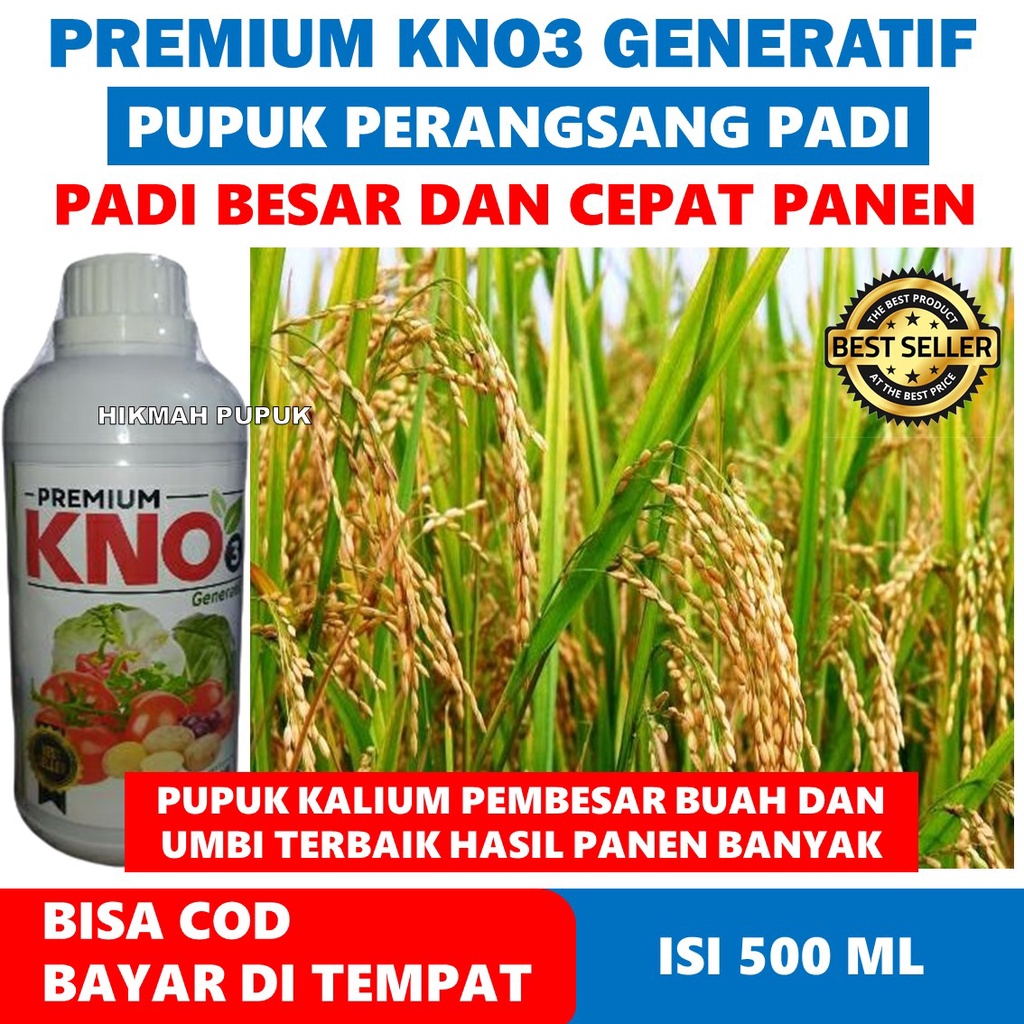 Jual Pupuk Premium KNO3 Generatif Pelebat Buah Padi Biar Berbobot, Pupuk Perangsang Tanaman Padi ...
