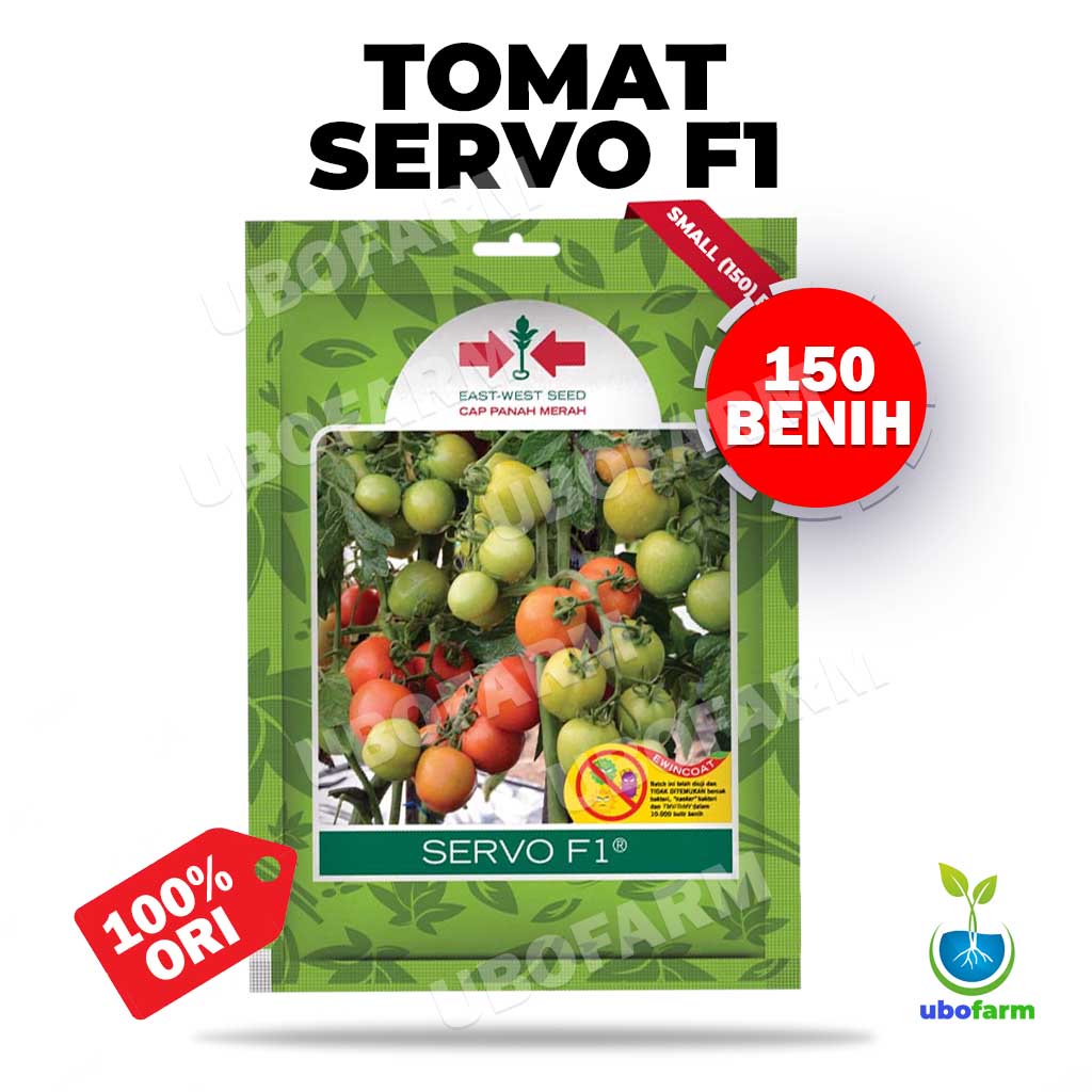 Jual Benih Tomat Servo F1 SP Cap Panah Merah isi 150 benih | Shopee ...