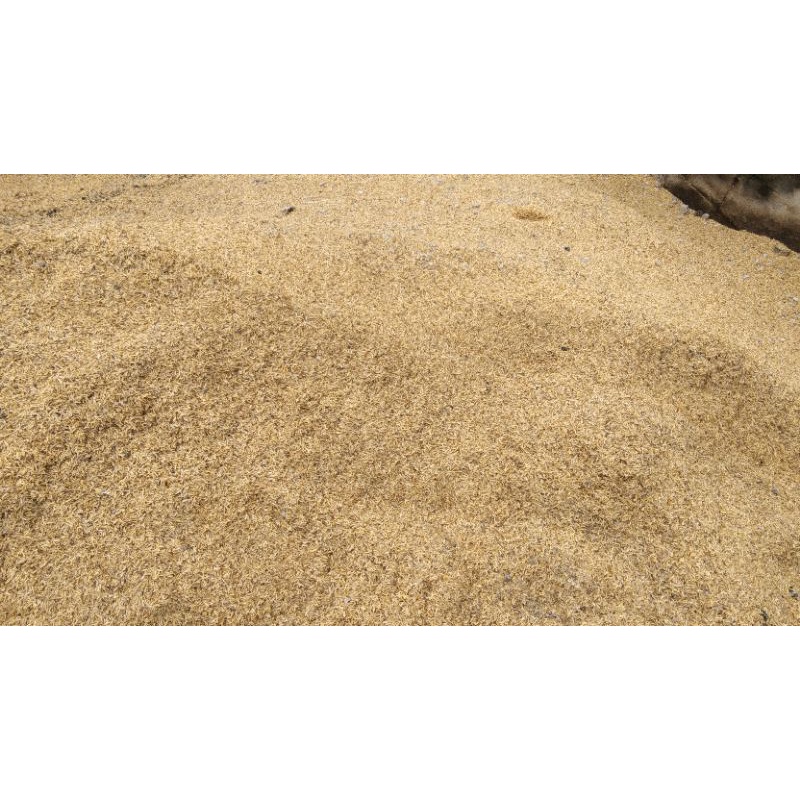 Jual sekam padi kemasan 500g | Shopee Indonesia