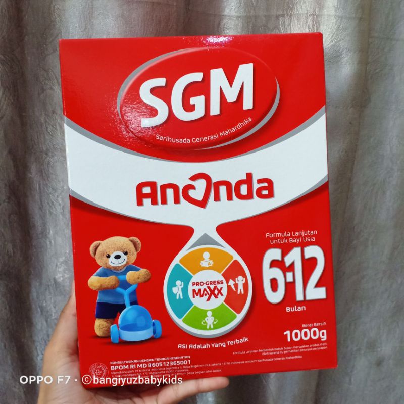 Jual SGM Ananda 2 6-12 Bulan Formula Bayi Bubuk 1000 gr | Shopee Indonesia