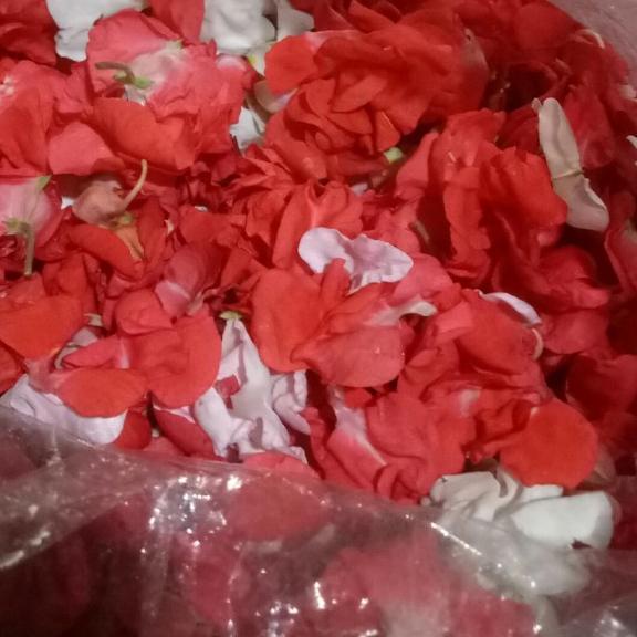 Jual Bunga Tabur Makam Untuk Pemakaman Ziarah Asli Fresh | Shopee Indonesia