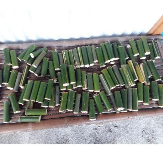 Jual Ulat Bambu Isi10 Ulet Seger Ulat Bumbung Cangcilung Umpan Mancing ...