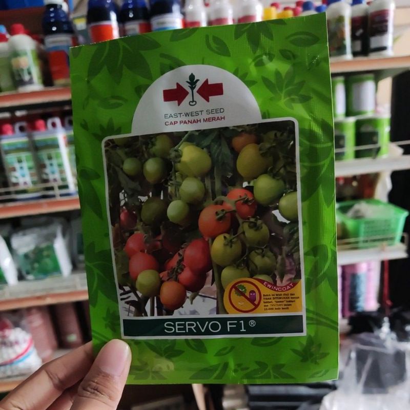 Jual Benih Tomat SERVO F1 1750 Butir dari EAST-WEST SEED CAP PANAH ...
