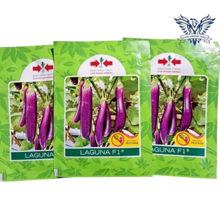 Jual Benih Terong Ungu Laguna f1 isi 1100 biji 100% Original panah Merah | Shopee Indonesia