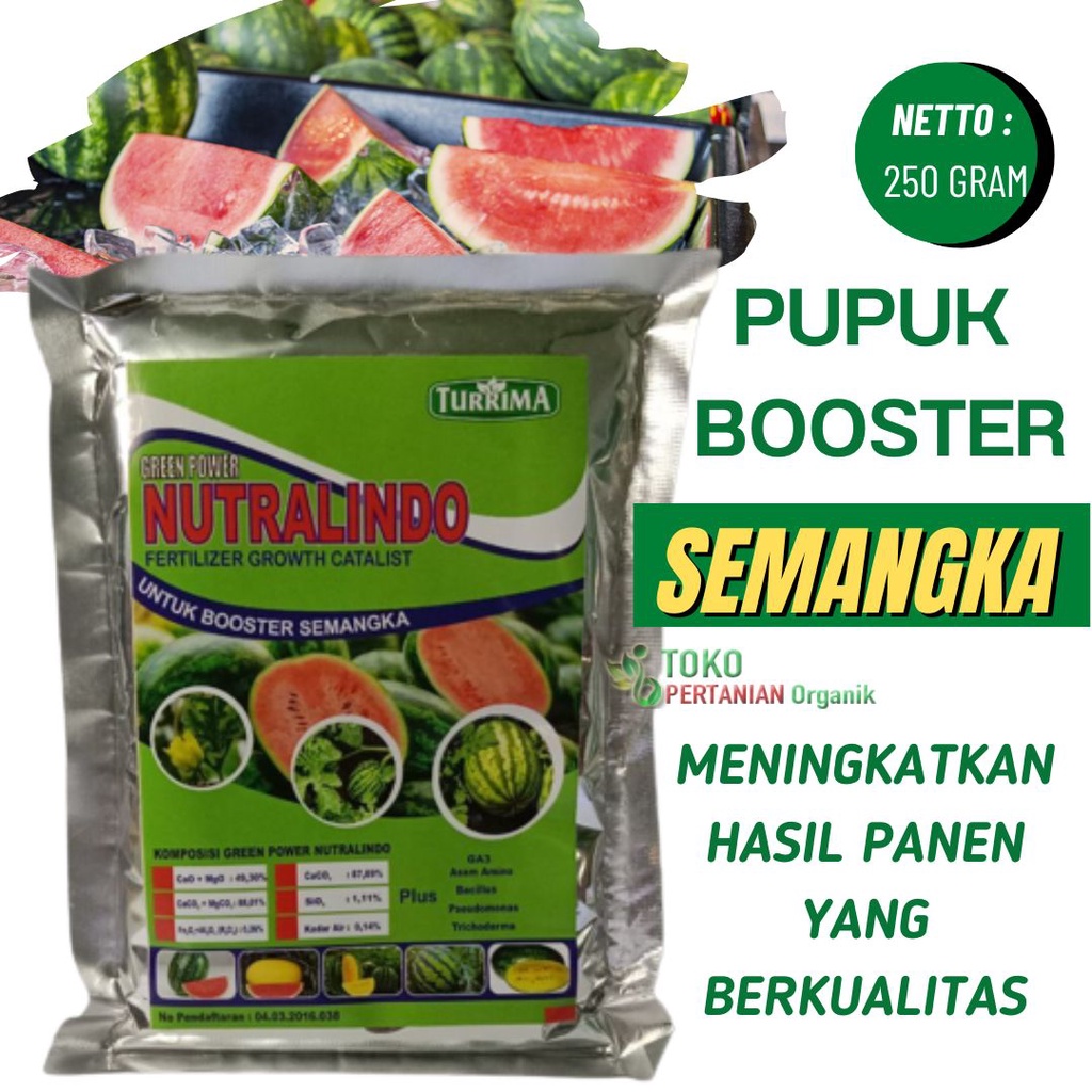 Jual Nutrisi untuk buah semangka non biji NUTRALINDO, Pupuk semangka amara berbuah lebat ...