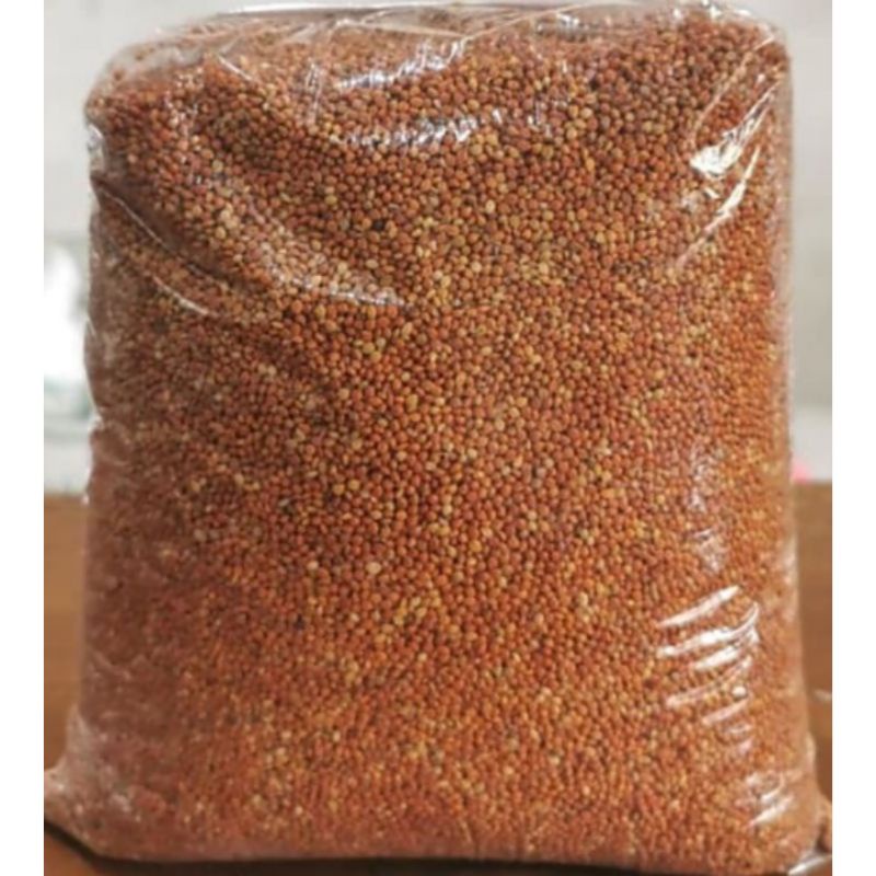 Jual BIJI JEWAWUT JAWAWUT JUWAWUT 1KG BIJI JAWAK PAKAN MAKANAN BURUNG ...