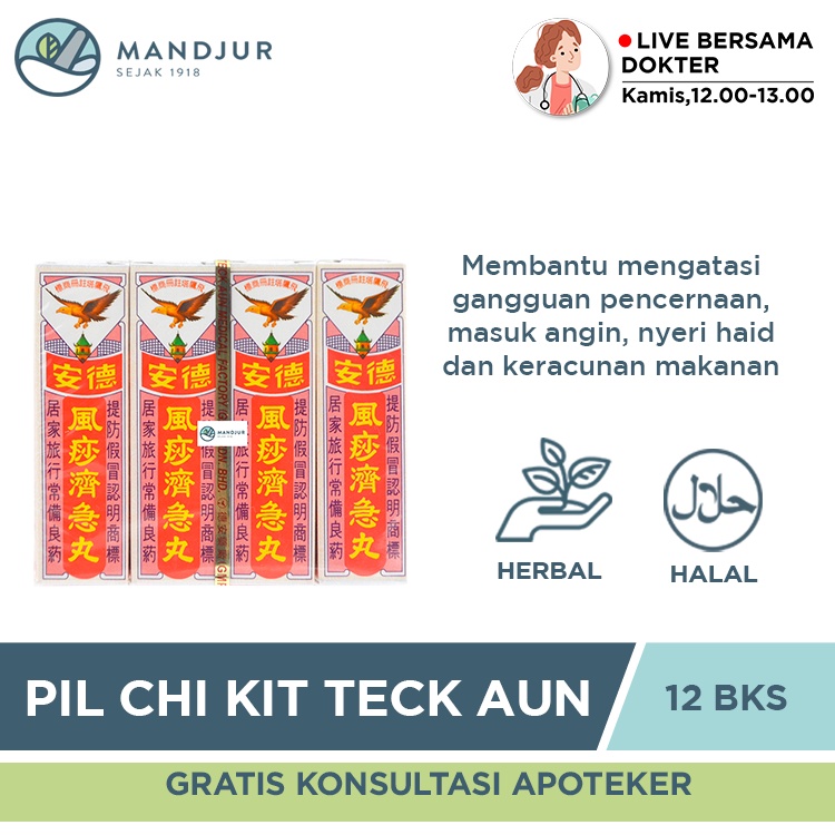 Jual Pil Chi Kit Teck Aun (12 bungkus) | Shopee Indonesia
