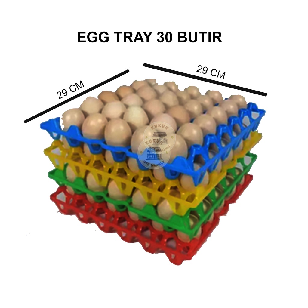 Jual Egg Tray - Tempat Telur Plastik Tray 30 butir Rak Telor Plastik ...