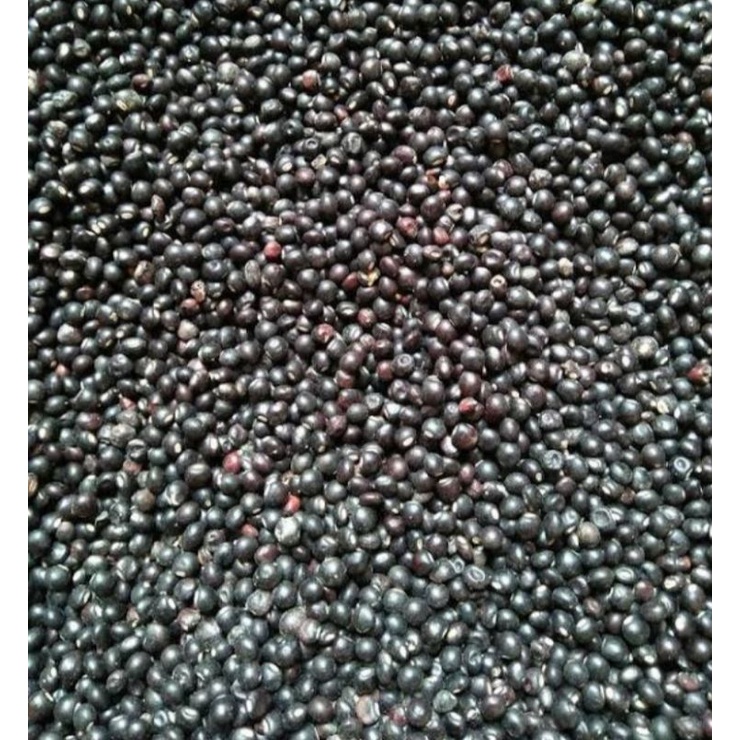 Jual lebui / kacang gude khas Lombok 250 gr | Shopee Indonesia