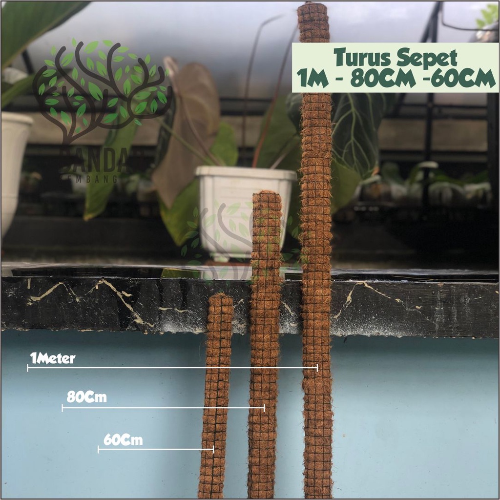 Jual Turus Sepe Serabut Kelapa - Turus Cocofiber - Penyangga Tanaman ...