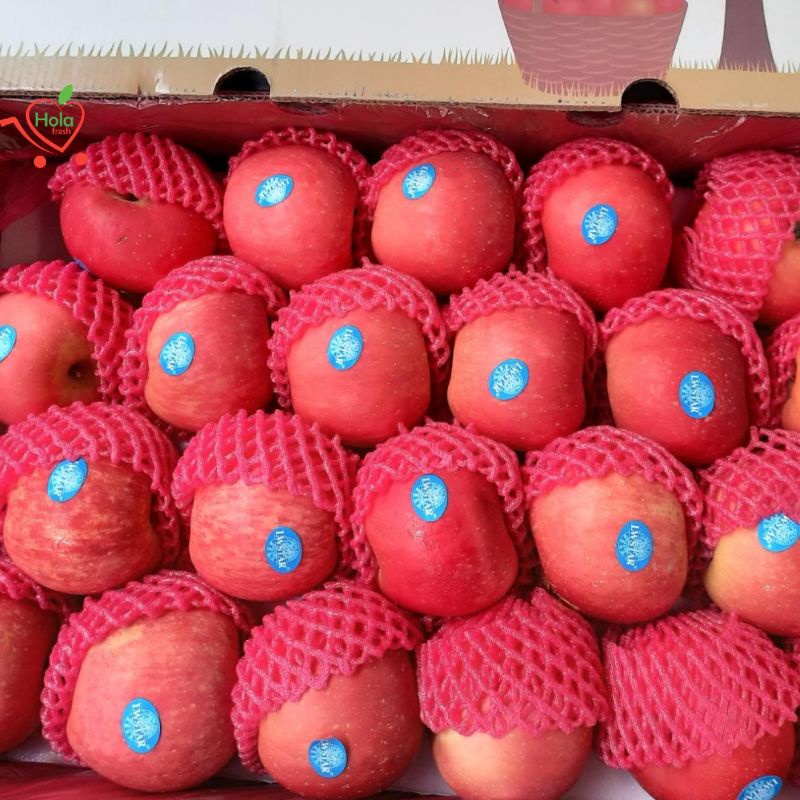 Jual Apel Fuji (DUS) +- 16KG | Shopee Indonesia