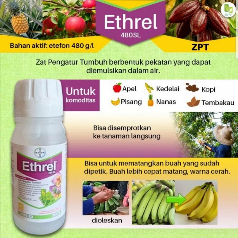 Jual ETHREL produk dari BAYER untuk mempercepat buah agar cepat matang ...