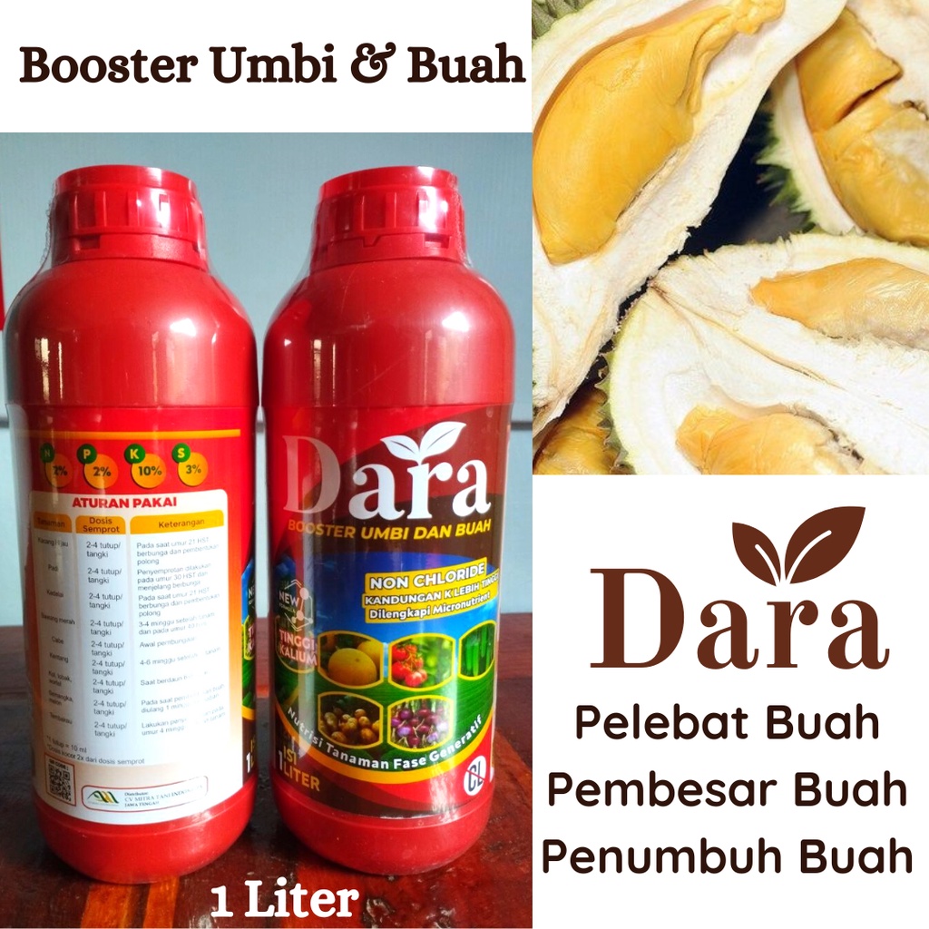 Jual Pupuk Booster Pelebat Buah Durian, Pupuk Durian Tinggi Kalium Perangsang Buah Durian ...