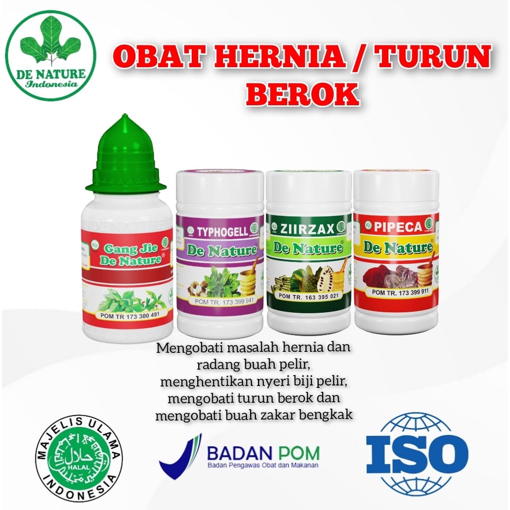 Jual Obat Penyakit Hernia - Turun Berok - Radang Buah Zakar Dewasa ...