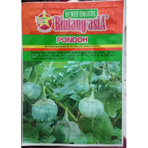 Jual Benih terong Marukan PONDOH 10 Gram Bintang Asia | Shopee Indonesia