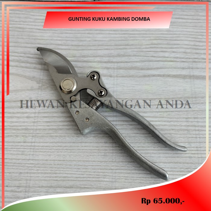 Jual Gunting Kuku Hewan Ternak Domba Kambing dll | Shopee Indonesia