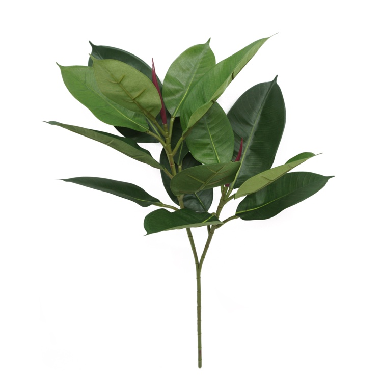 Jual DAUN HIAS/ DAUN PALSU/ DAUN ARTIFICIAL/ DAUN IMPORT/ 58CM S-RUBBER ...