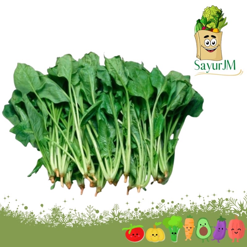 Jual SayurJM - Bayam Jepang 500gr / Horenzo / Sayur Pocai / Horenso ...