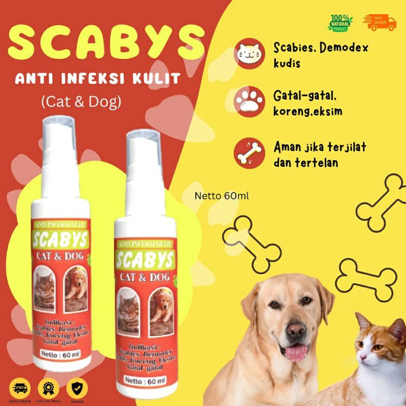 Jual Obat Jamur Kucing Scabies Demodex Impertigo Jamur Kutu Parasit ...