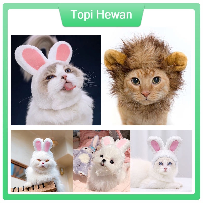 Jual Kucing Cap Rambut Topi Wig Desain Singa Dengan Telinga Untuk ...
