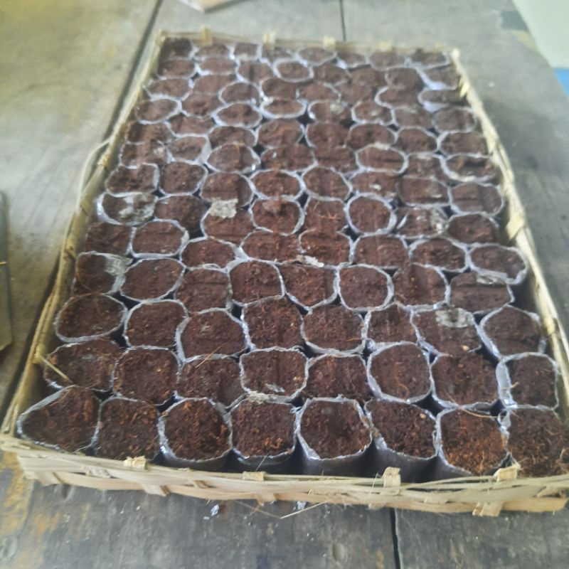 Jual Media Semai Benih Cocopeat Eceran | Shopee Indonesia