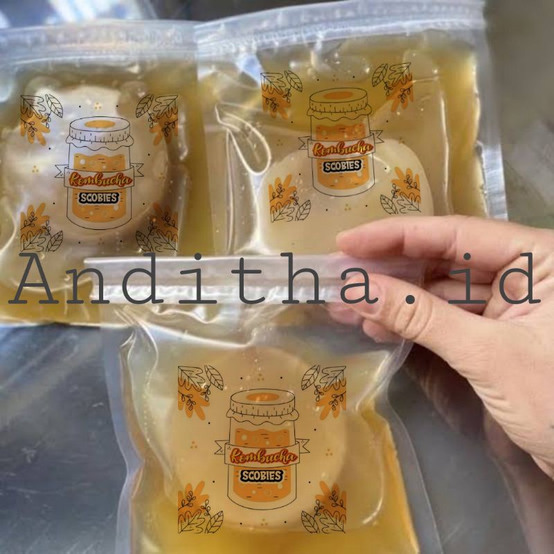 Jual Scoby kombucha | jamur kombucha | Shopee Indonesia