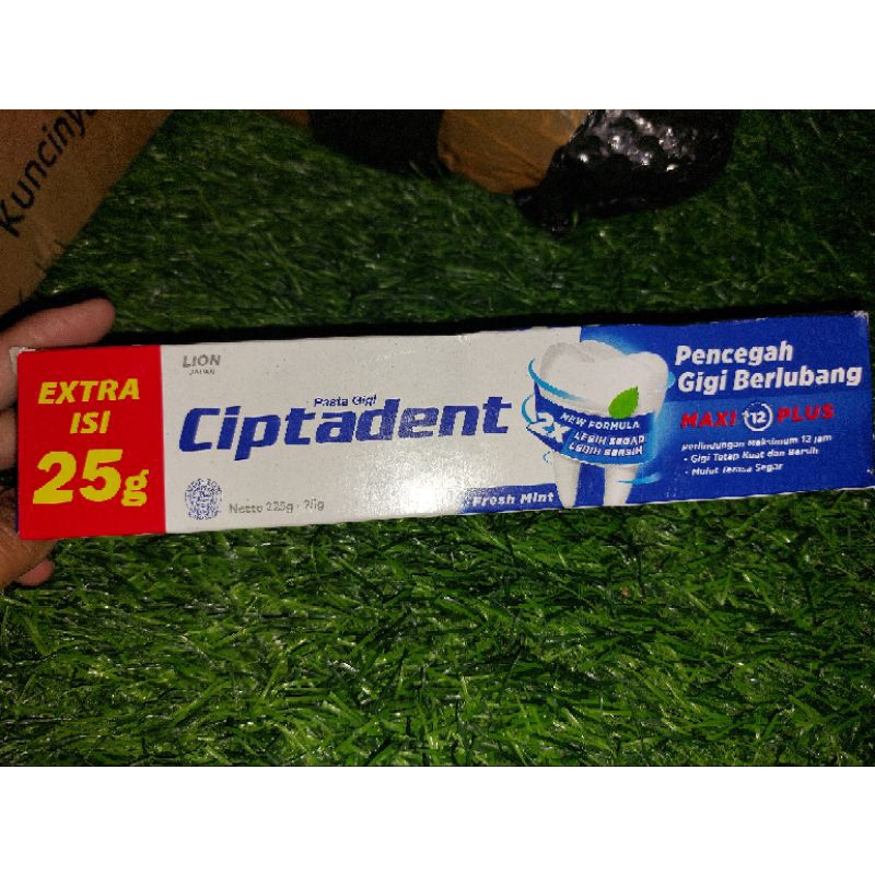 Jual Ciptadent Maxi 12 Plus Pasta Gigi Fresh Mint 225g+25g | Shopee ...