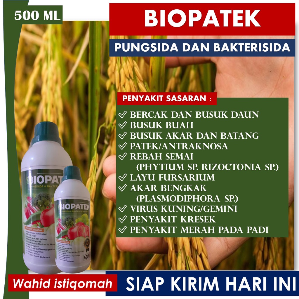 Jual 500ml BIOPATEK Obat Bercak Daun dan Busuk Buah, Busuk akar dan ...