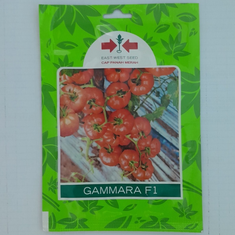 Jual Benih Bibit Tomat Ranti GAMMARA F1 Tomat Belimbing dari CAP PANAH ...