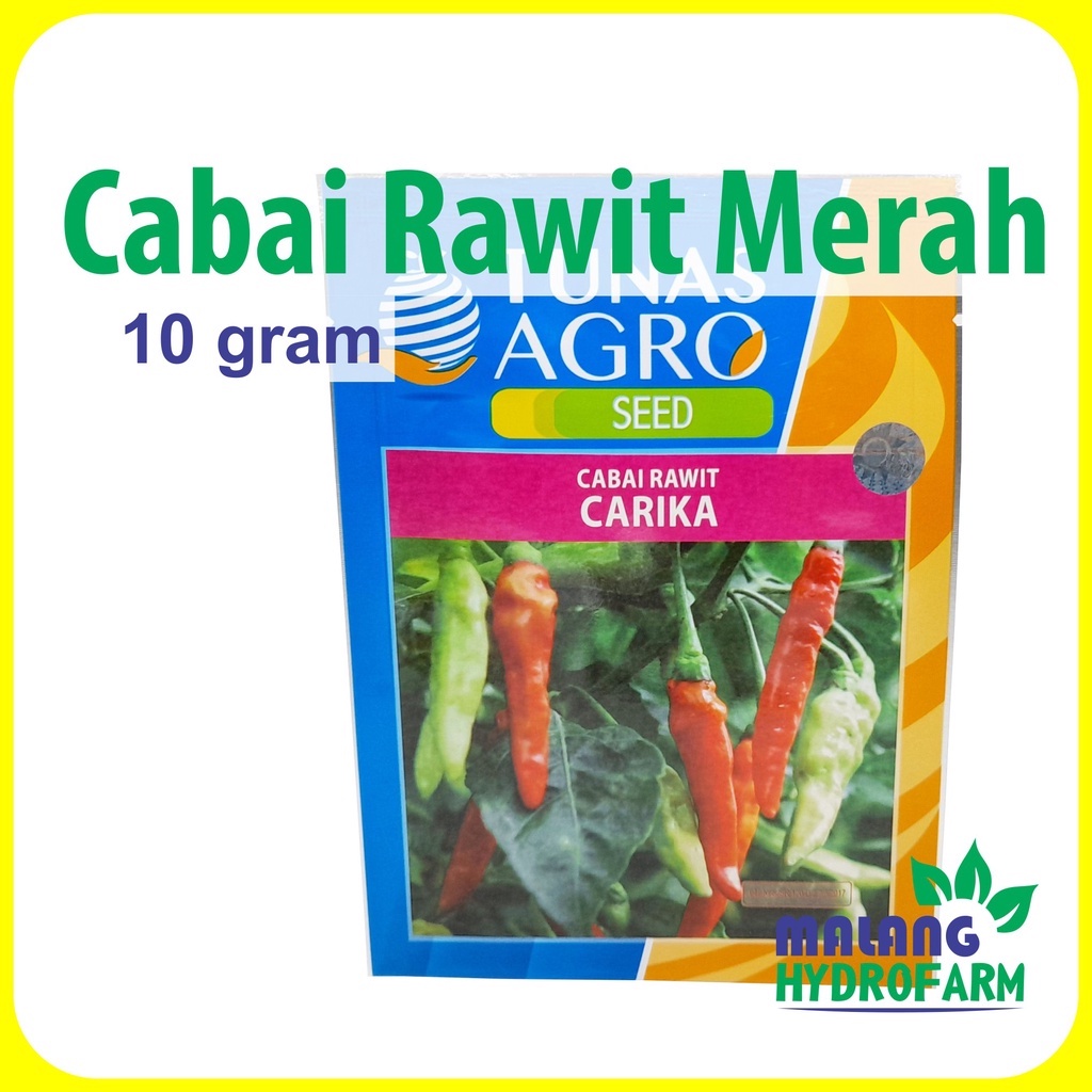 Jual Benih Cabai Rawit Merah Carika 10 gram Tunas Agro hydroponik ...