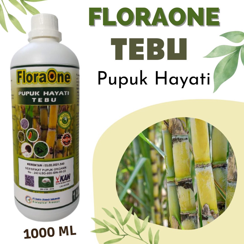 Jual Fungisida Busuk Akar Tebu, Obat Penderas Nira Pada Tebu, Pupuk ...