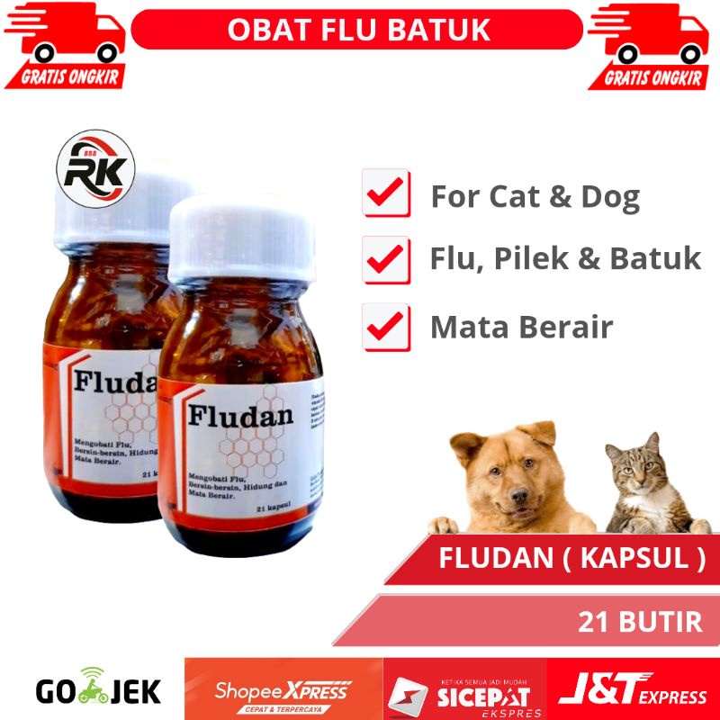 Jual Fludan Obat Pilek Batuk Kucing Kapsul Tablet Kapsul | Shopee Indonesia