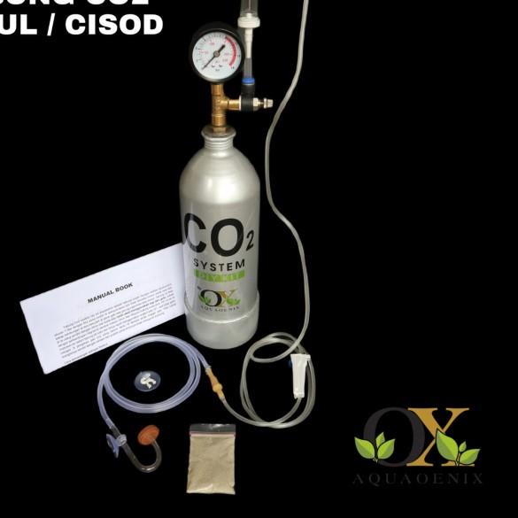 Jual Tabung co2 alumunium DIY cisod/ragul fullset | tabung co2 aquascape - tabung saja | Shopee ...