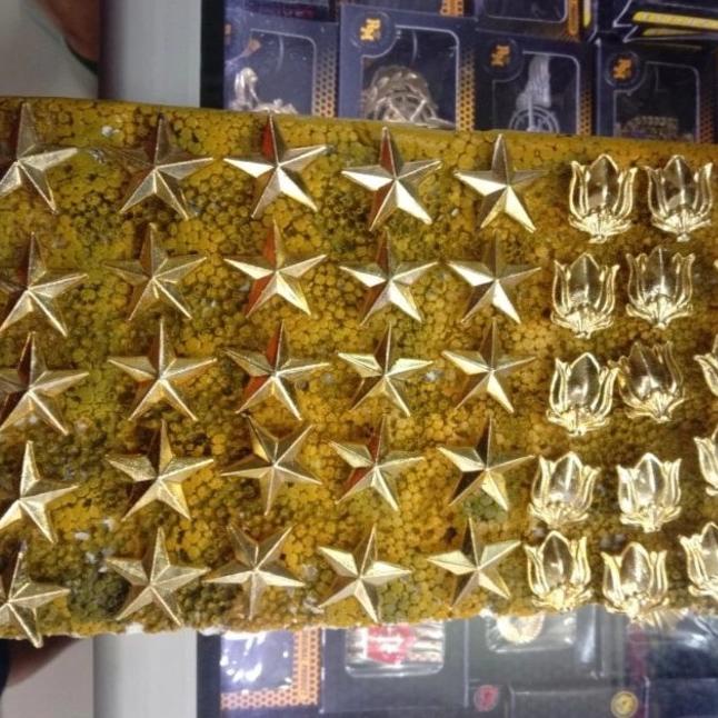 Jual PIN BINTANG DAN MELATI STANDAR PANGKAT KERAH DAN TOPI | Shopee ...