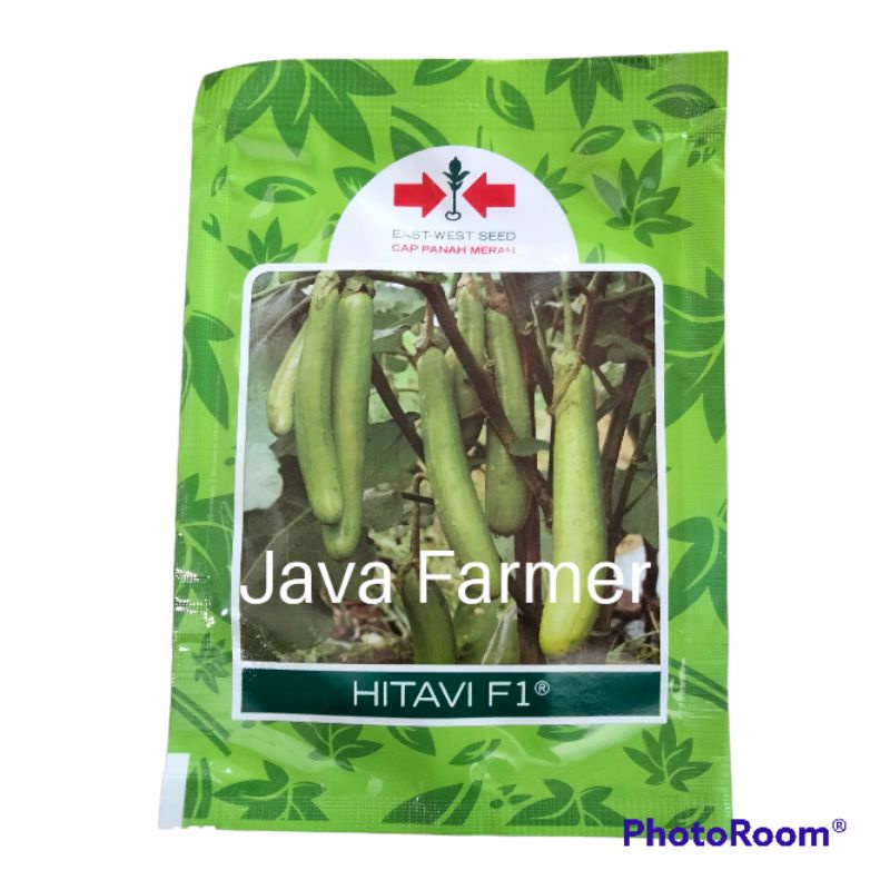Jual Benih Terong HITAVI 10 gram | Shopee Indonesia