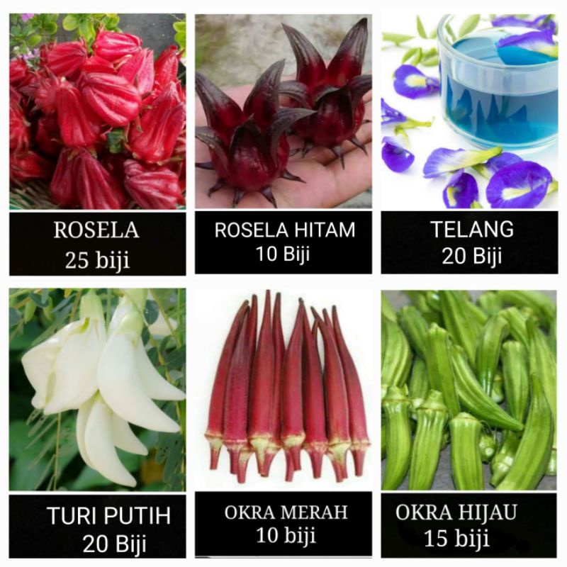 Jual Benih sayur BUNGA & OKRA | Shopee Indonesia