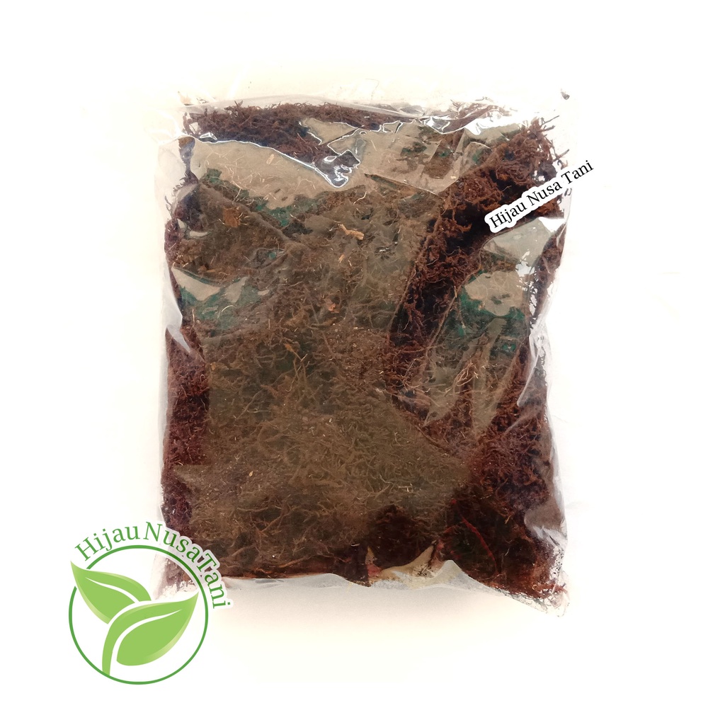 Jual MOS AKAR KADAKA - Media tanam anggrek moss hitam media anggrek ... Jual MOS AKAR KADAKA - Media tanam anggrek moss hitam media anggrek ...