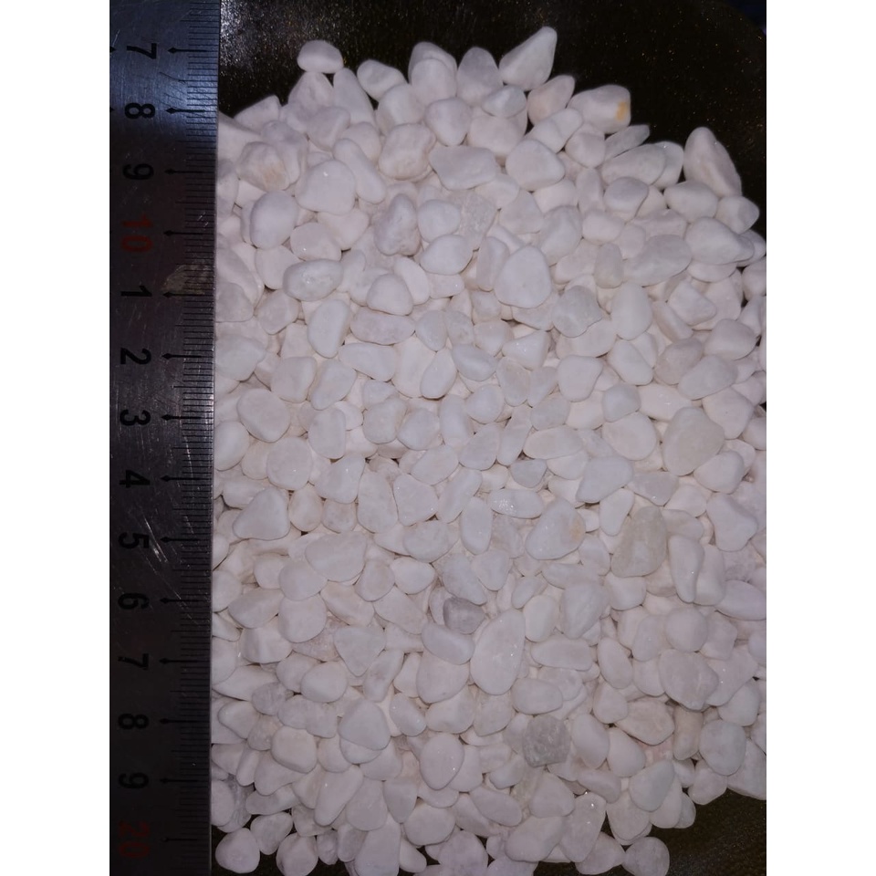 Jual 200gr Batu Salju Batu Koral Putih - Batu Hias Dasar Aquarium ...