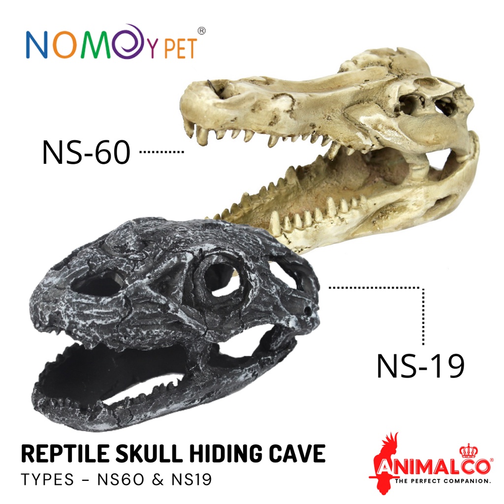 Jual HIDING CAVE GOA TEMPAT SEMBUNYI GOA KANDANG RUMAH REPTIL REPTILE ...