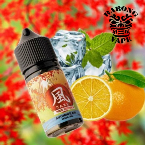 Jual Liquid Kaze Autumn Aki / Orange Spritzer Ice Pods Friendly 16MG ...