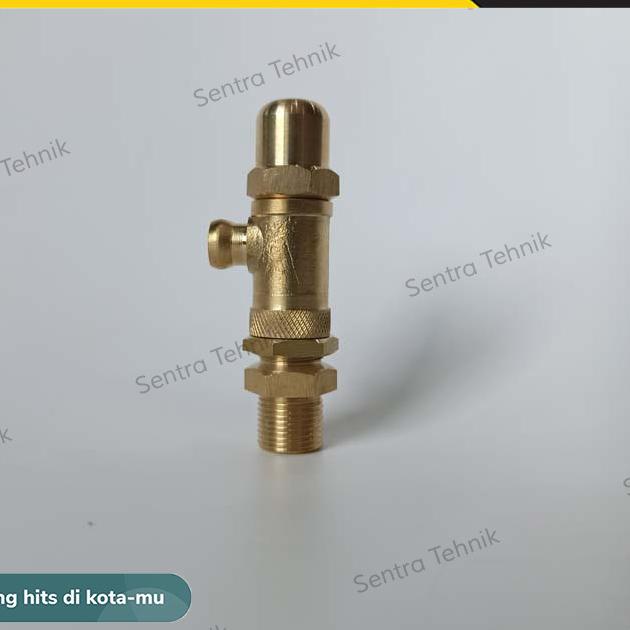 Jual SAFETY VALVE BOILER SAFETY VALVE SETRIKA UAP 3/8" | Shopee Indonesia
