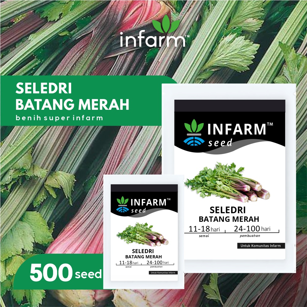 Jual INFARM - Benih Bibit Biji Super Daun Seledri Batang Merah | Shopee ...