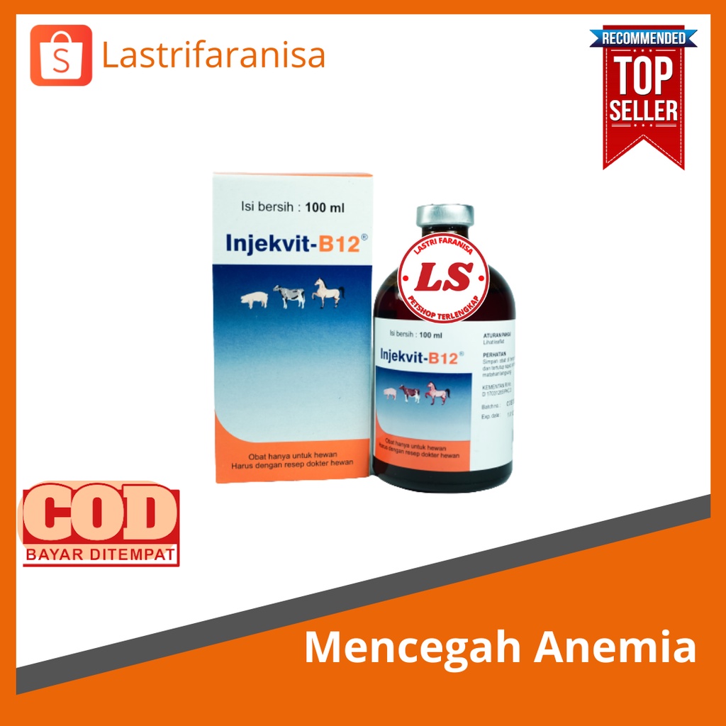 Jual Vitamin B12 Injeksi Injecvit B12 100 ml Injecvit Medion B12 ...
