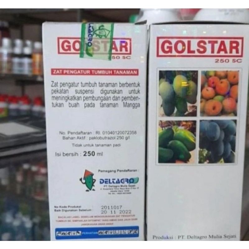 Jual GOLSTAR 250ML | Shopee Indonesia