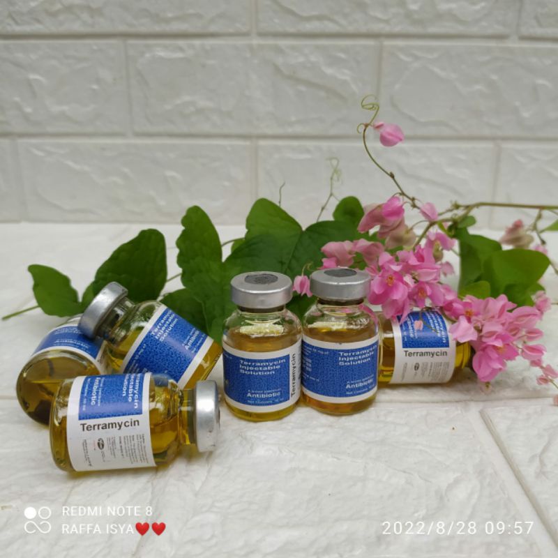 Jual obat lebah kena racun dan ayam aduan teramycin | Shopee Indonesia
