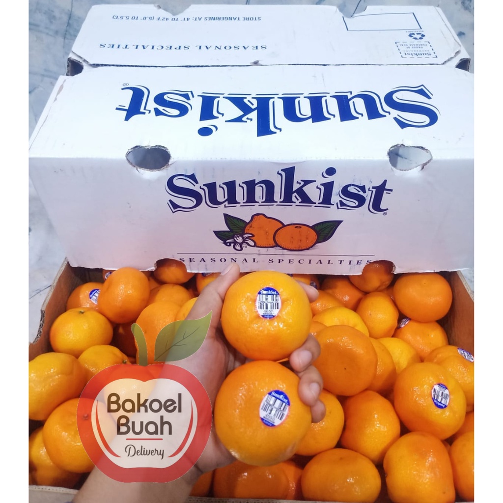 Jual Buah Jeruk Afourer perkg | Shopee Indonesia