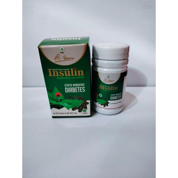 Jual Insulin Kapsul Aladin Al barru / Ektrack Daun Insulin / Obat ...