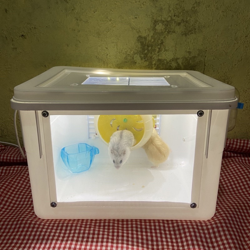 Jual Kandang Hamster / Landak Mini / Gerbil / Marmut Reptil Box Eskrim ...