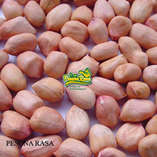 Jual Kacang Tanah India 500 gr / GroundNut / Kacang Tanah Super Bersih ...